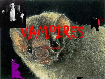 PPT – VAMPIRES PowerPoint presentation | free to view - id: 1a33a-ZTUxZ