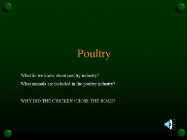 Poultry presentation | free to view