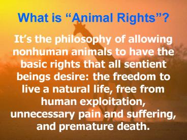 What is Animal Rights presentation | free to view