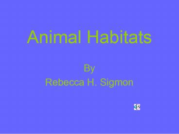 Animal Habitats presentation | free to view