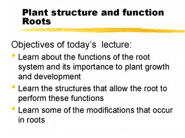 Plant structure and function Roots presentation | free to view