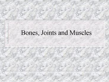 Bones, Joints and Muscles presentation | free to view