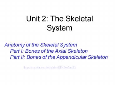 Anatomy of the Skeletal System presentation | free to view