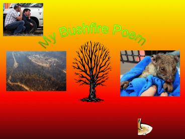 PPT – My Bushfire Poem PowerPoint presentation | free to view - id ...