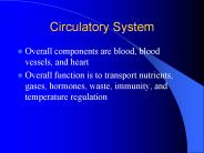 PPT – Circulatory System PowerPoint presentation | free to view - id ...