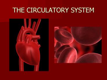 THE CIRCULATORY SYSTEM presentation | free to view