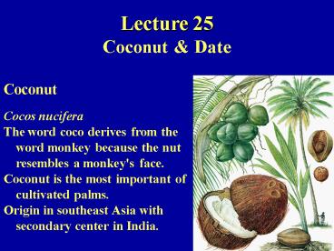 Lecture 25 Coconut presentation | free to view