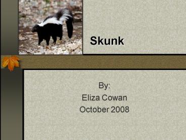 PPT – Skunk PowerPoint presentation | free to view - id: 1fdea-OWRkM