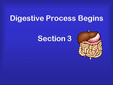 Digestive Process Begins presentation | free to view