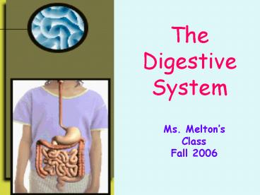 The Digestive System presentation | free to view