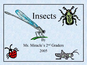 Insects presentation | free to view