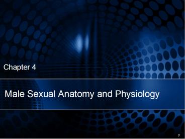 Male Sexual Anatomy and Physiology presentation | free to view