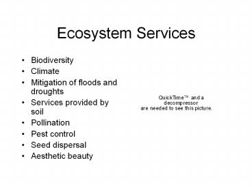 PPT – Ecosystem Services PowerPoint presentation | free to view - id ...
