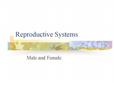PPT – Reproductive Systems PowerPoint presentation | free to download ...