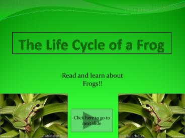 The Life Cycle of a Frog presentation | free to view