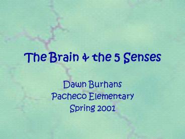 The Brain presentation | free to view