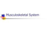 PPT – Physiology of the Musculoskeletal System PowerPoint presentation ...