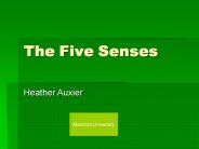 PPT – The five senses PowerPoint presentation | free to view - id ...
