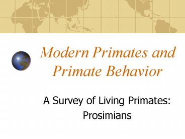Modern Primates and Primate Behavior presentation | free to view