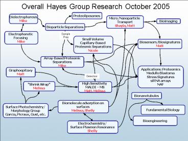 PPT – Overall Hayes Group Research October 2005 PowerPoint presentation ...