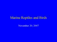 PPT – Marine Birds PowerPoint presentation | free to view - id: 767746 ...