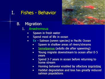 Fishes Behavior presentation | free to download