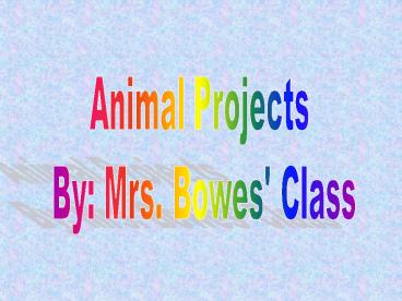 PPT – Animal Projects PowerPoint presentation | free to view - id ...