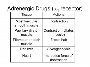 Adrenergic Drugs 1 receptor presentation | free to view