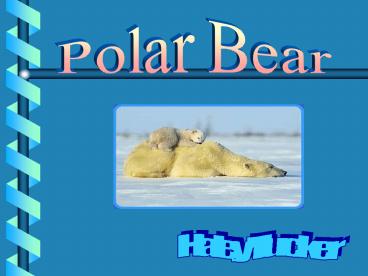 Polar Bear presentation | free to view