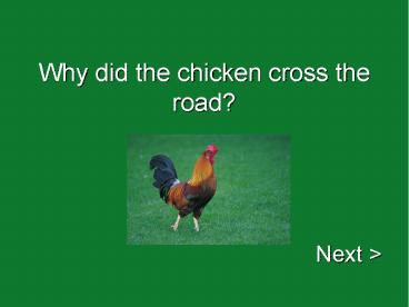 Why did the chicken cross the road? presentation | free to download