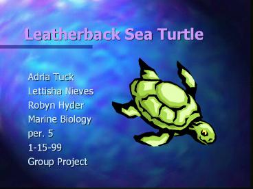 PPT – Leatherback Sea Turtle PowerPoint presentation | free to download ...