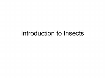 Introduction to Insects presentation | free to view