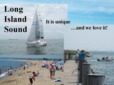 PPT – Long PowerPoint presentation | free to view - id: 29975-ZmI2N