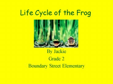 Life Cycle of the Frog presentation | free to view