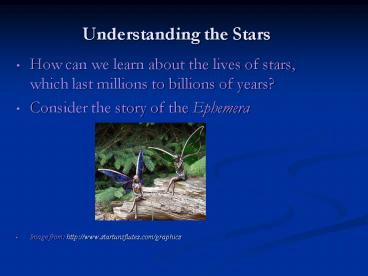 PPT – Understanding the Stars PowerPoint presentation | free to ...