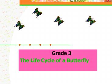Grade 3 presentation | free to download