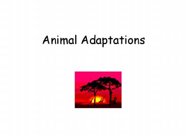 PPT – Animal Adaptations PowerPoint presentation | free to view - id ...