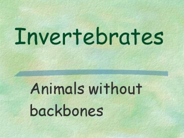 Invertebrates presentation | free to view
