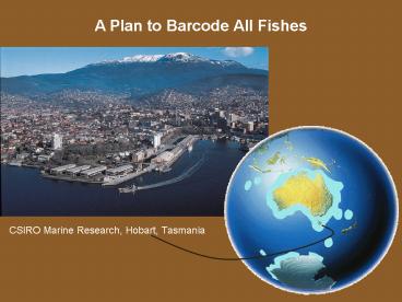 PPT – A Plan to Barcode All Fishes PowerPoint presentation | free to ...