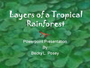 Layers of a Tropical Rainforest presentation | free to view