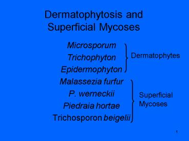 PPT – Dermatophytosis and Superficial Mycoses PowerPoint presentation ...