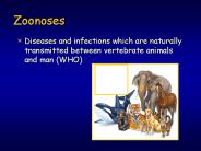 PPT – VIRAL ZOONOSES PowerPoint presentation | free to view - id: 104bb ...