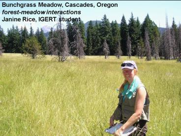 PPT – Bunchgrass Meadow, Cascades, Oregon PowerPoint presentation ...