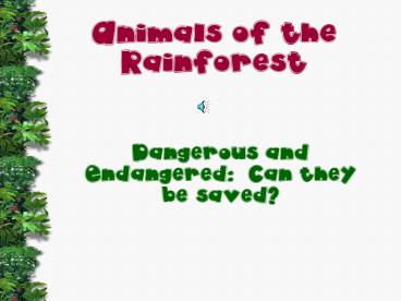 Animals of the Rainforest presentation | free to view
