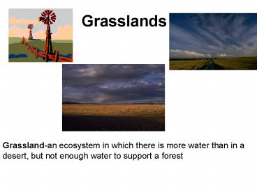 Grasslands presentation | free to view