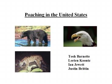 PPT – Poaching in the United States PowerPoint presentation | free to ...