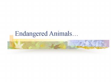 PPT – Endangered Animals PowerPoint presentation | free to view - id ...