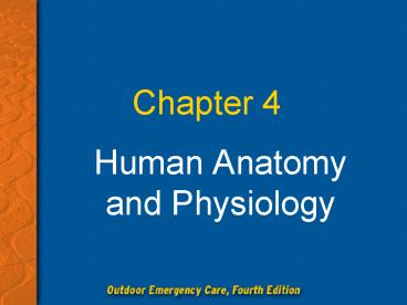 Human Anatomy and Physiology presentation | free to view
