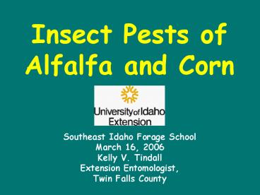 Insect Pests of Alfalfa and Corn presentation | free to view