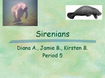 Sirenians presentation | free to view